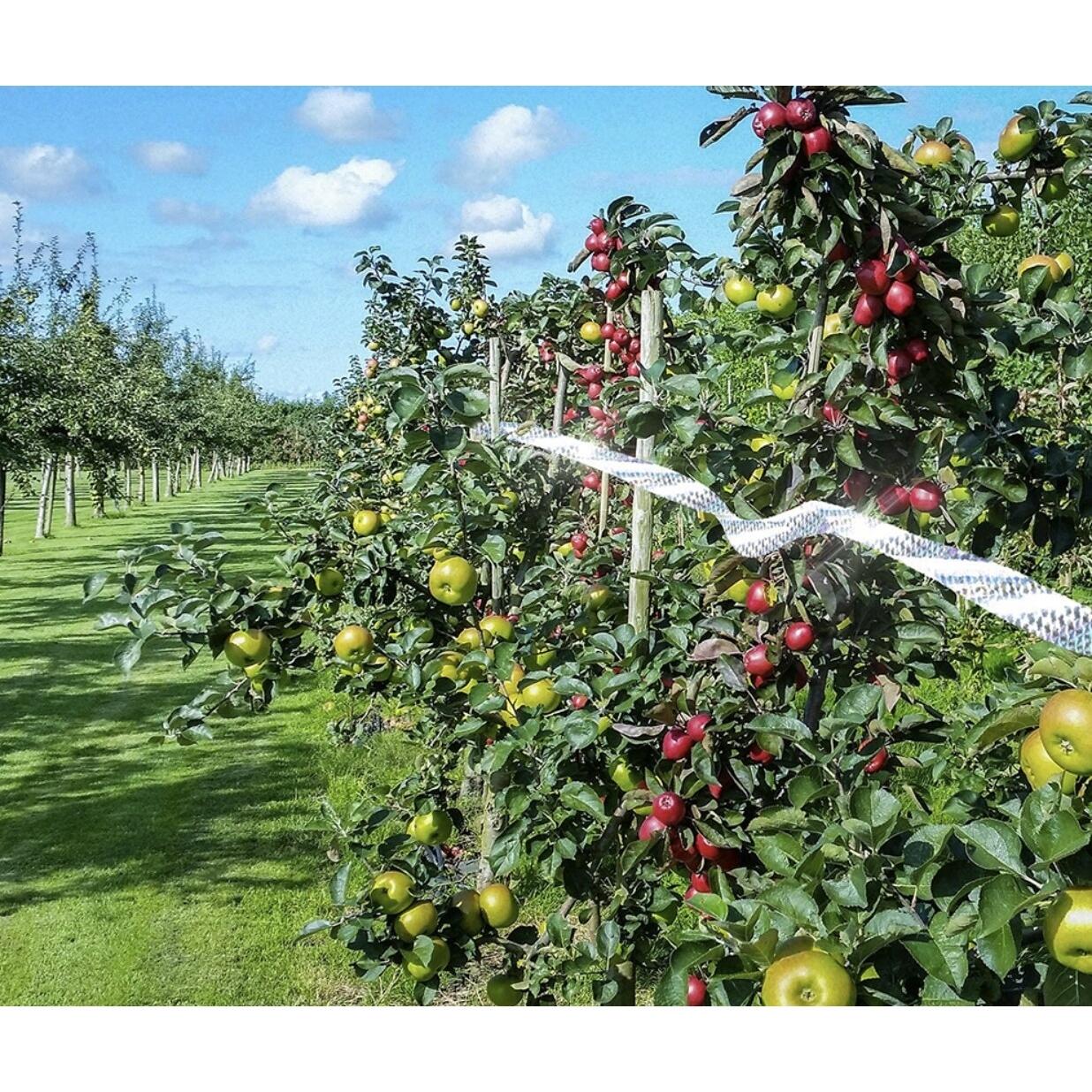 Banda reflectorizanta pentru alungat pasari, Repest, 5 cm x 45 m ...