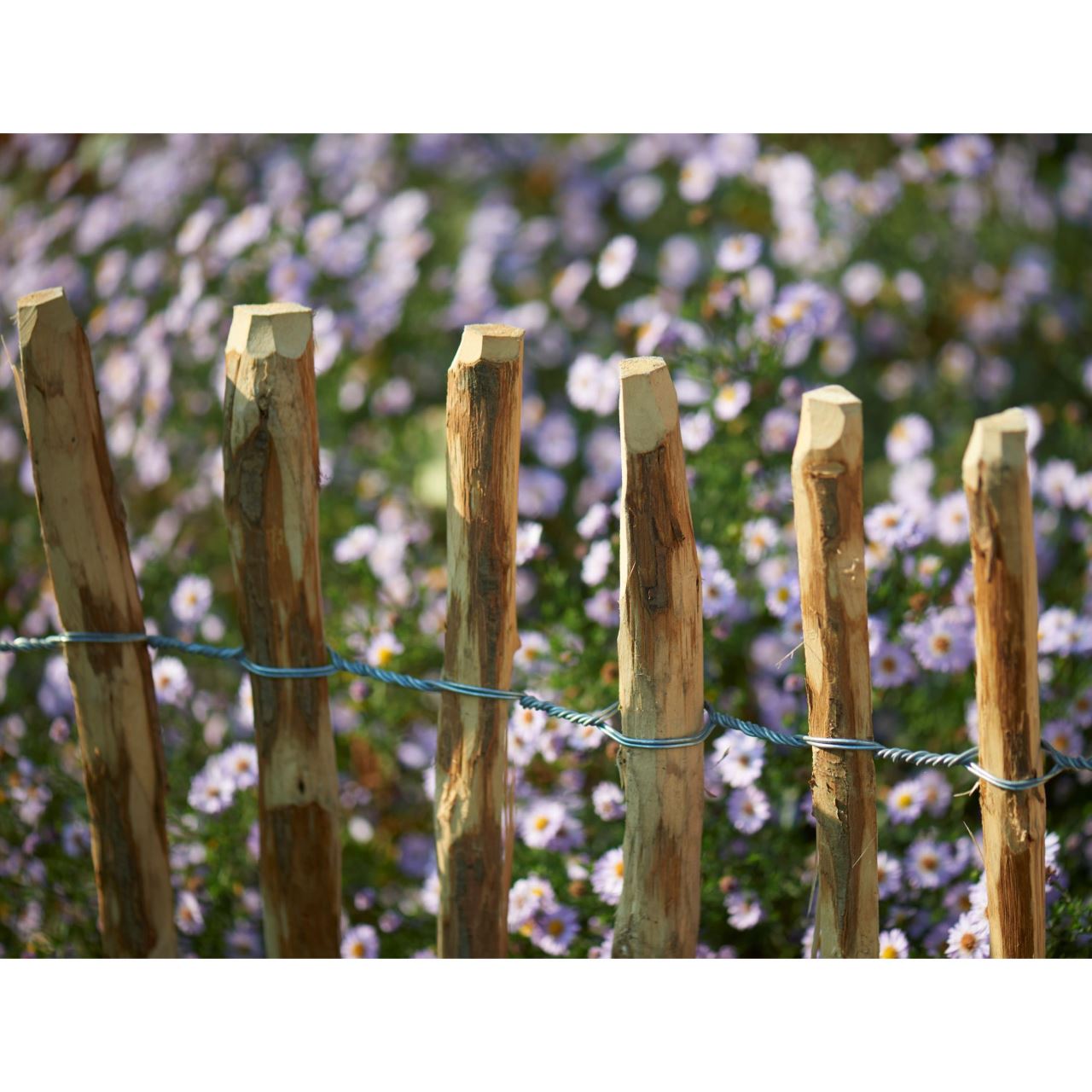 Gard de gradina din lemn de alun, distantat 4-6 cm, 500x50 cm - Artool.ro