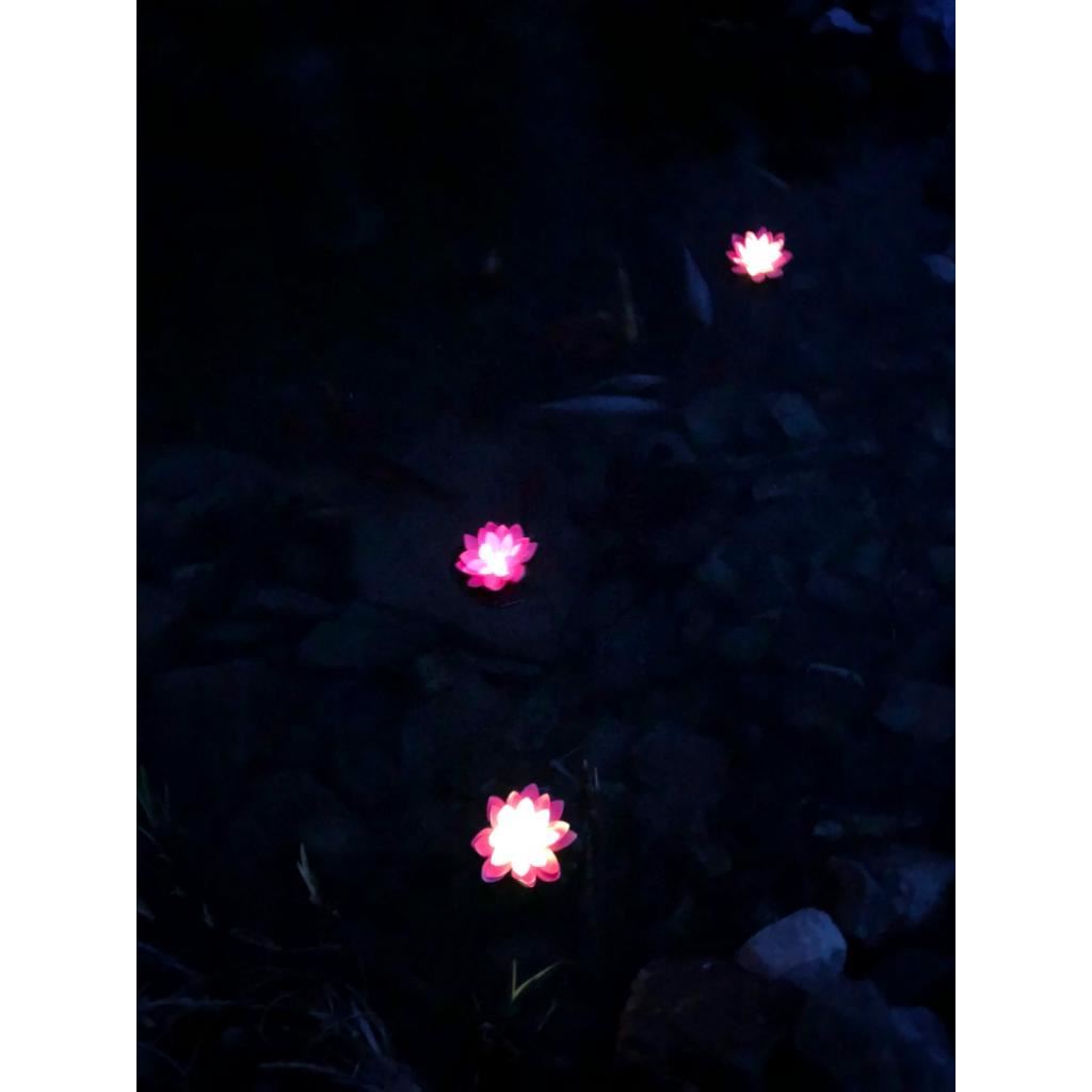 Lampa solara de gradina/apa, LED, floare de nufar roz, 18x18x6 cm ...
