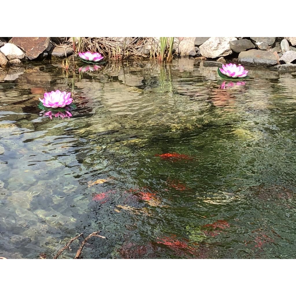 Lampa solara de gradina/apa, LED, floare de nufar roz, 18x18x6 cm ...