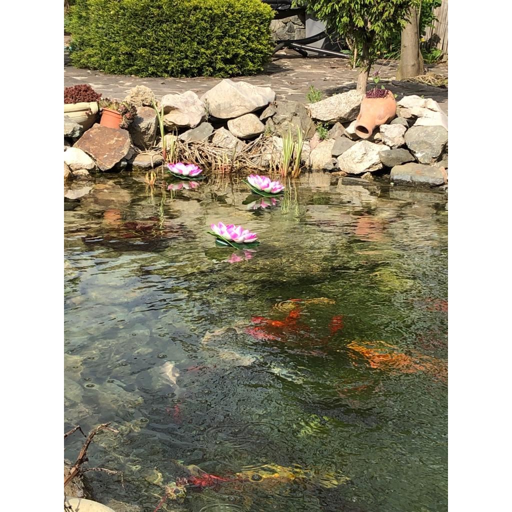 Lampa solara de gradina/apa, LED, floare de nufar roz, 18x18x6 cm ...