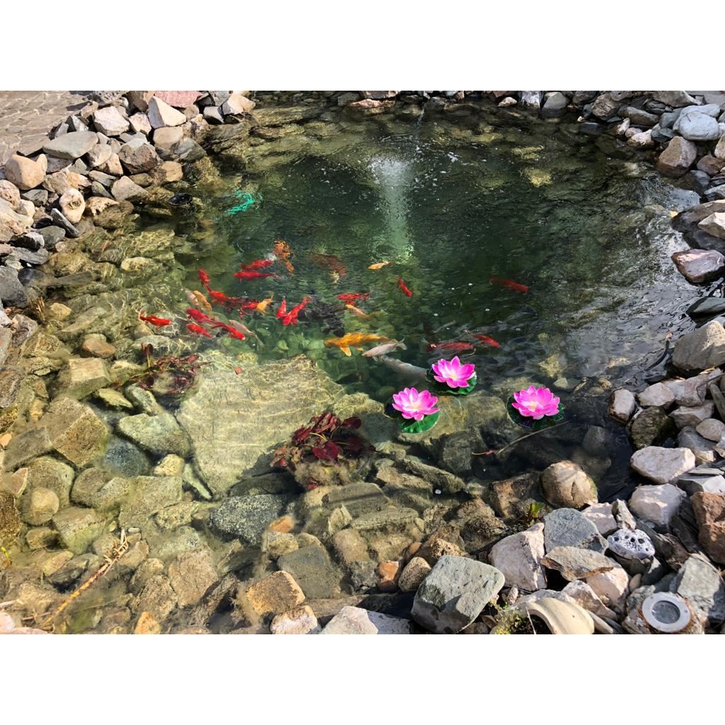 Lampa solara de gradina/apa, LED, floare de nufar roz, 18x18x6 cm ...