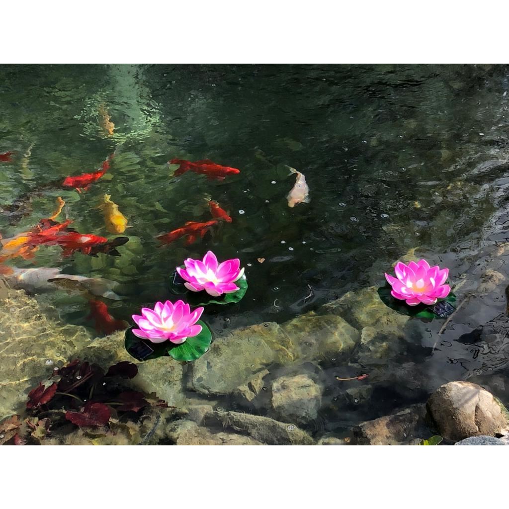 Lampa solara de gradina/apa, LED, floare de nufar roz, 18x18x6 cm ...