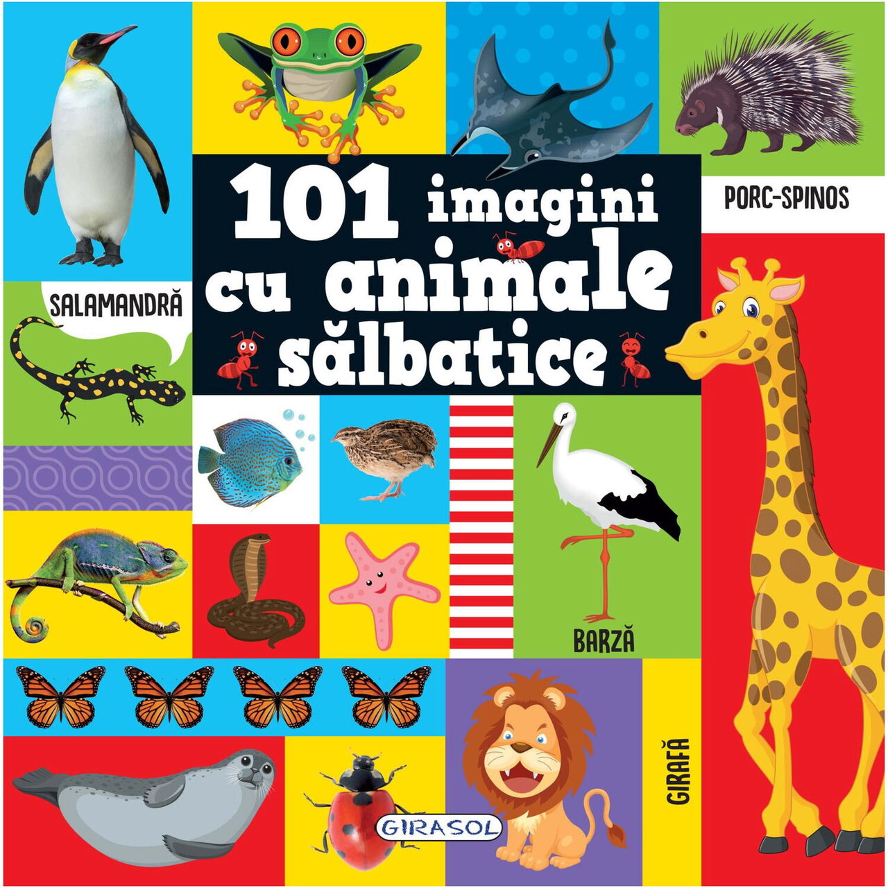 101 imagini cu animale salbatice - Artool.ro