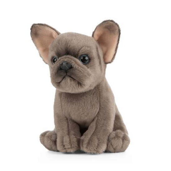 Catelus de plus Bulldog - Artool.ro